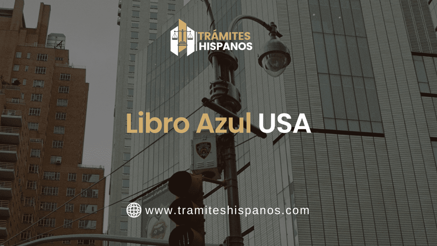 Libro azul de USA: Qué es y función